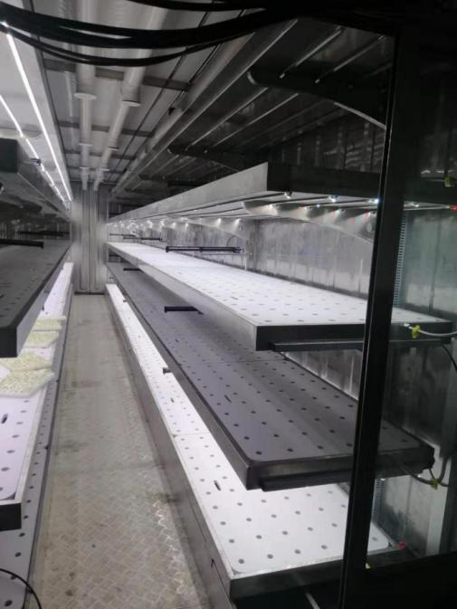 - Buy CONTAINER PLANT FACTORY from Qingdao Hanzhuo Industry Co., Ltd.